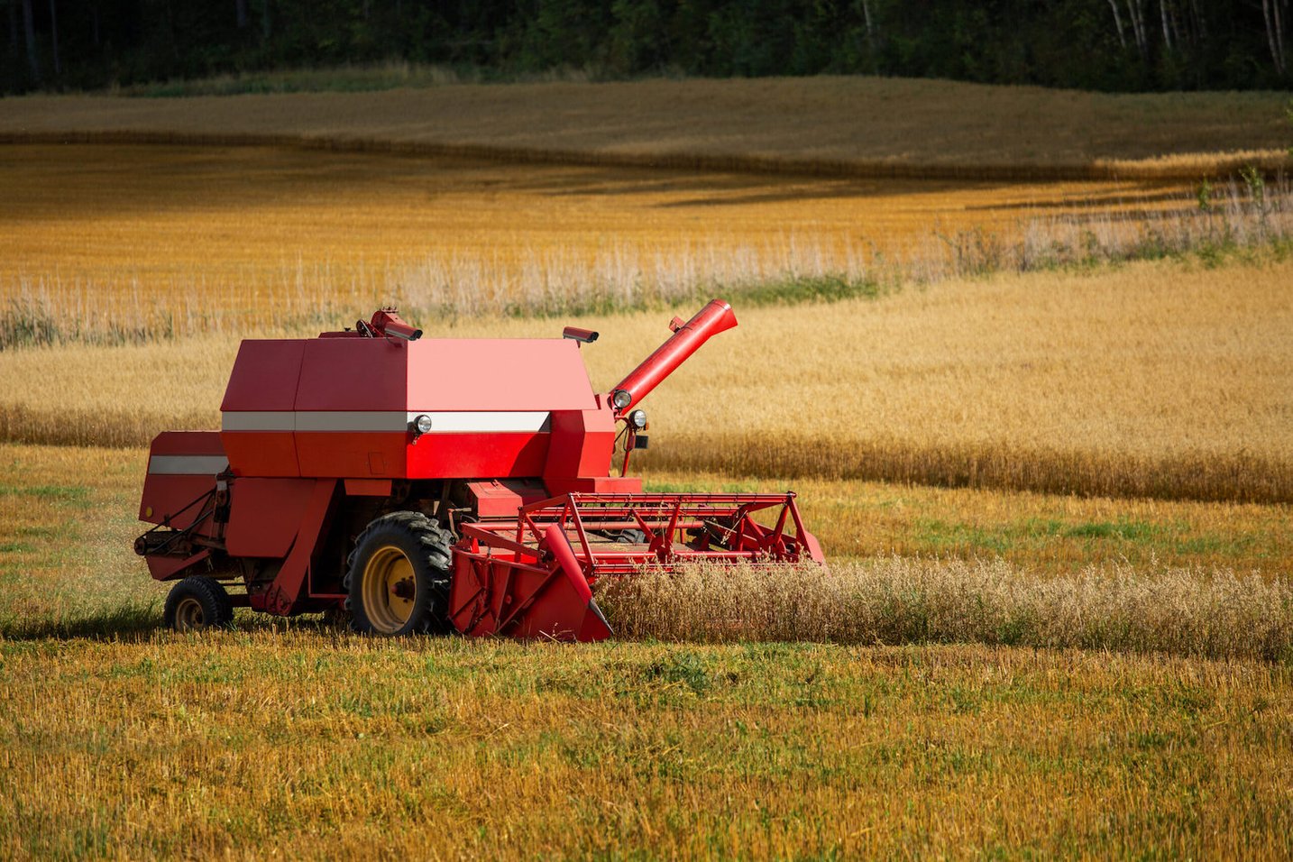 5 Ways to Use A Wireless E-Stop - FORT Robotics